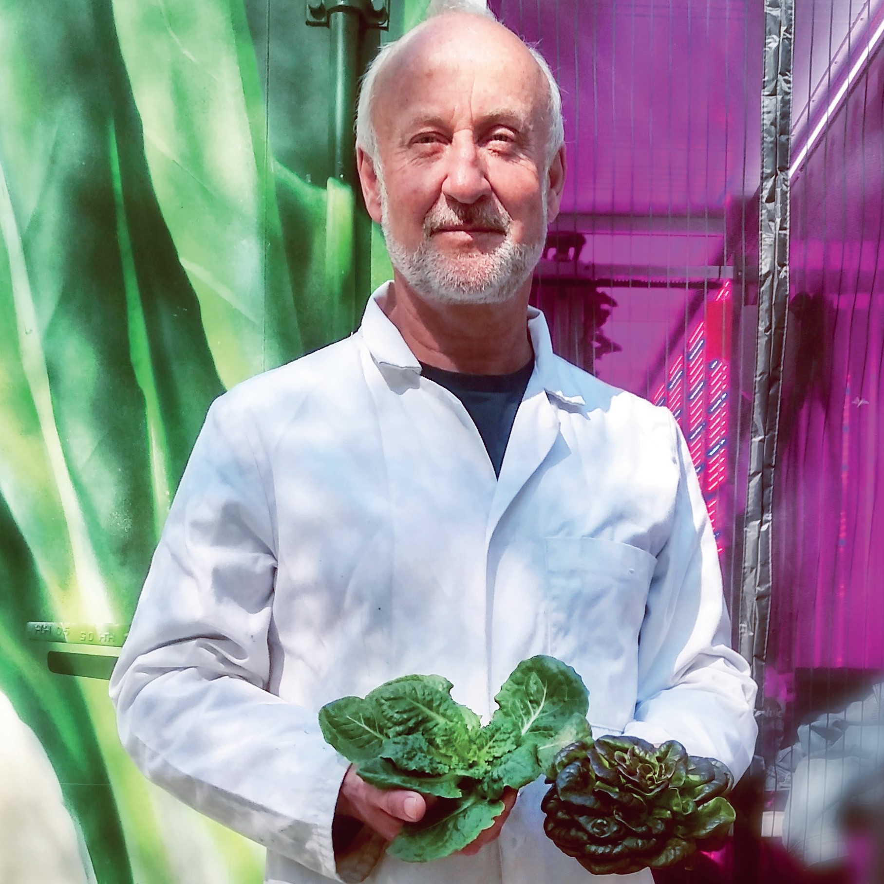 From crate to Plate - Elephant and Castle